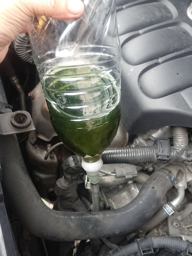 エルグランドE52 CVTフルード交換 | ごった基地